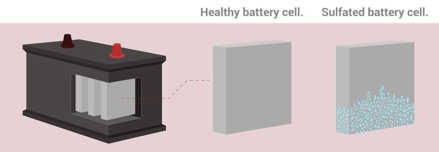Charging EFB, Calcium, AGM and Gel batteries - CTEK & Noco